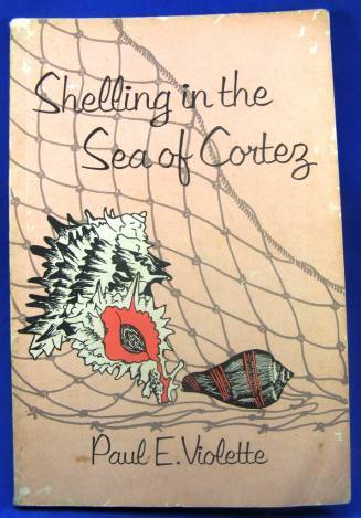 shellauction.net :: Paul E. Violette Shelling in the sea of cortez ...