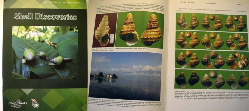 shellauction.net :: Shells Discoveries Vol. 1 - 3370741