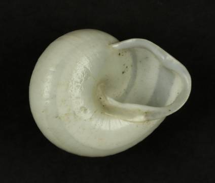 shellauction.net :: Rhynchotrochus species number one - 3608790